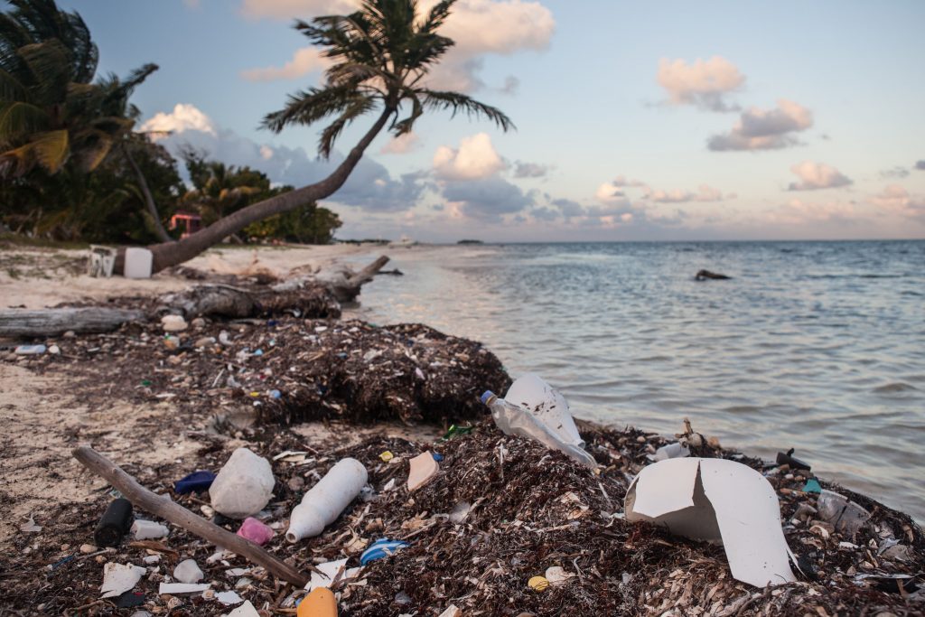 The price we pay for plastic: Saving the ocean from one of the world’s ...