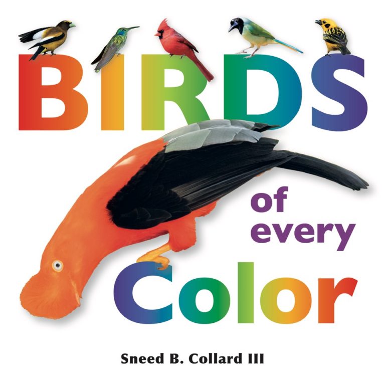 LitLinks: Creating a rainbow of birds with Birds of Every Color