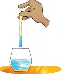 LitLinks: Solve the Drinking Straw Mystery - Patricia Newman