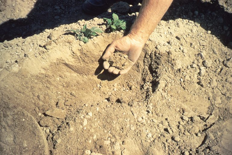 LitLinks: Soil Scientist as Hero | Patricia Newman's LitLinks blog