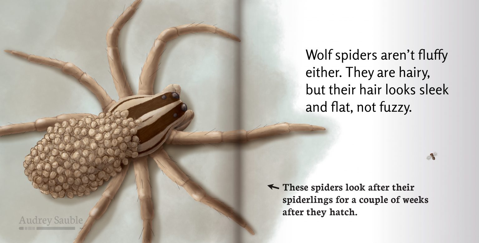 LitLinks: How to make spiders lovable with scientific classification