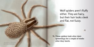 LitLinks: How to make spiders lovable with scientific classification