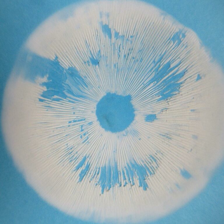 LitLinks: How to use funky fungi to teach across your curriculum