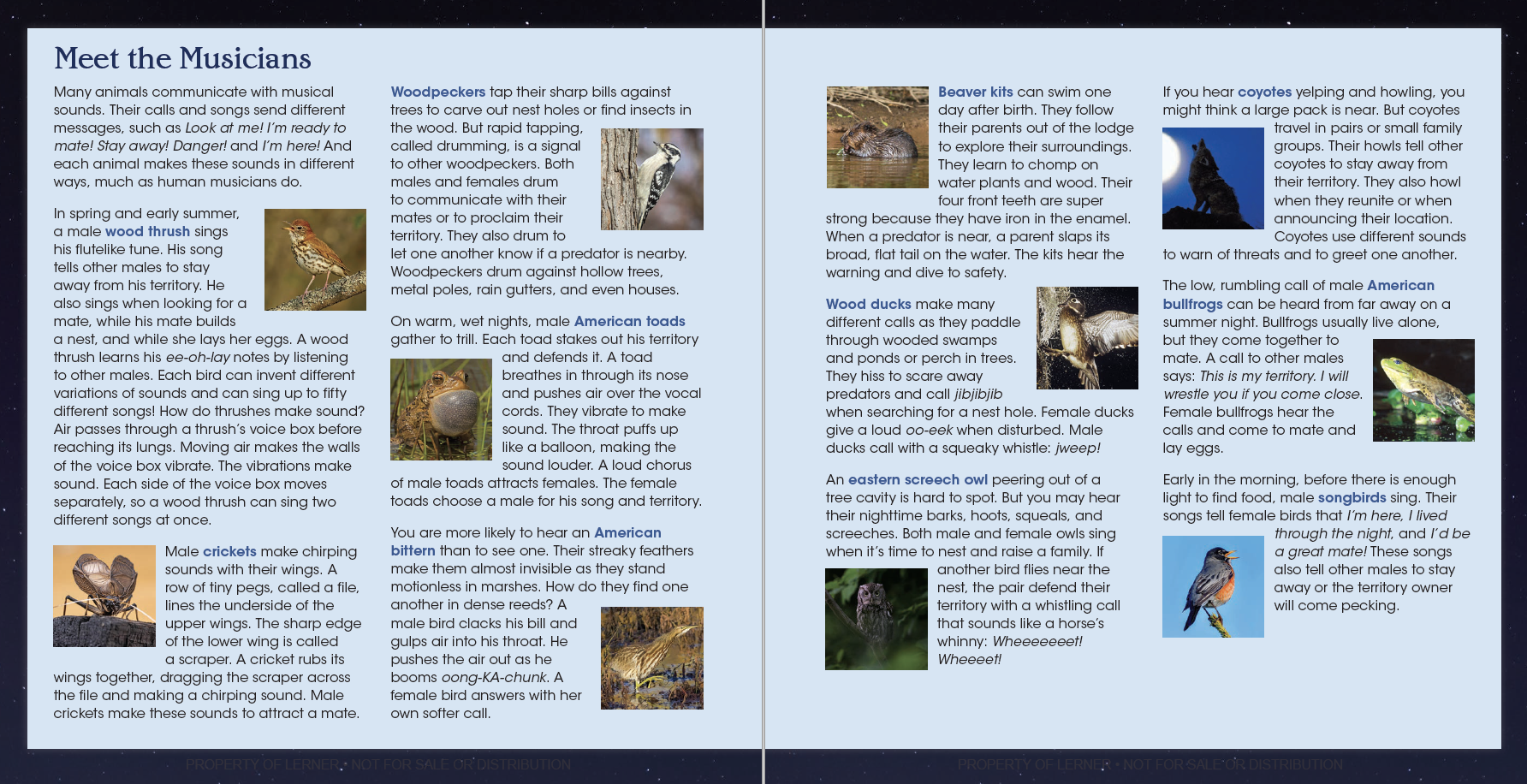 LitLinks: 3 easy ways to use animals to introduce onomatopoeia ...